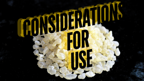 7- Amazing Benefits of Mastic Gum and Considerations for Use ...