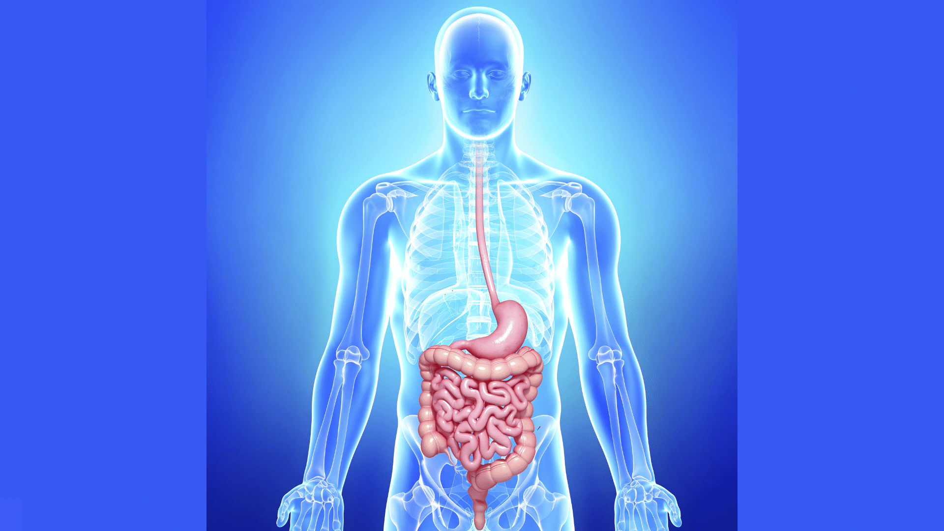 7- Amazing Benefits of Mastic Gum and Considerations for Use ...