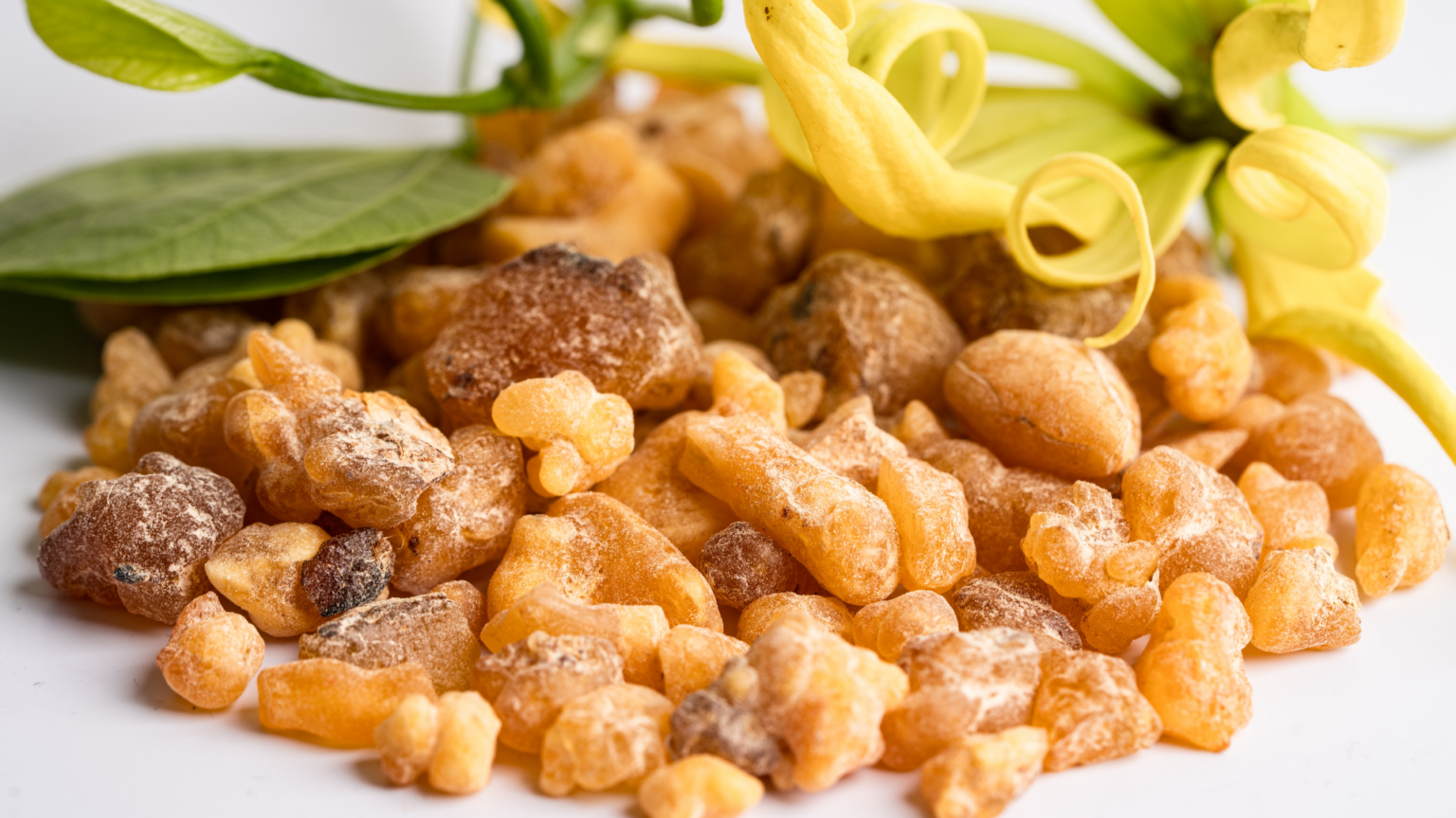 7- Amazing Benefits of Mastic Gum and Considerations for Use ...