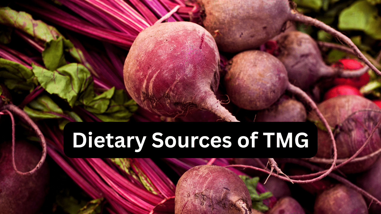 What Is TMG? A Deep Dive Into Trimethylglycine and Its Role in Health ...